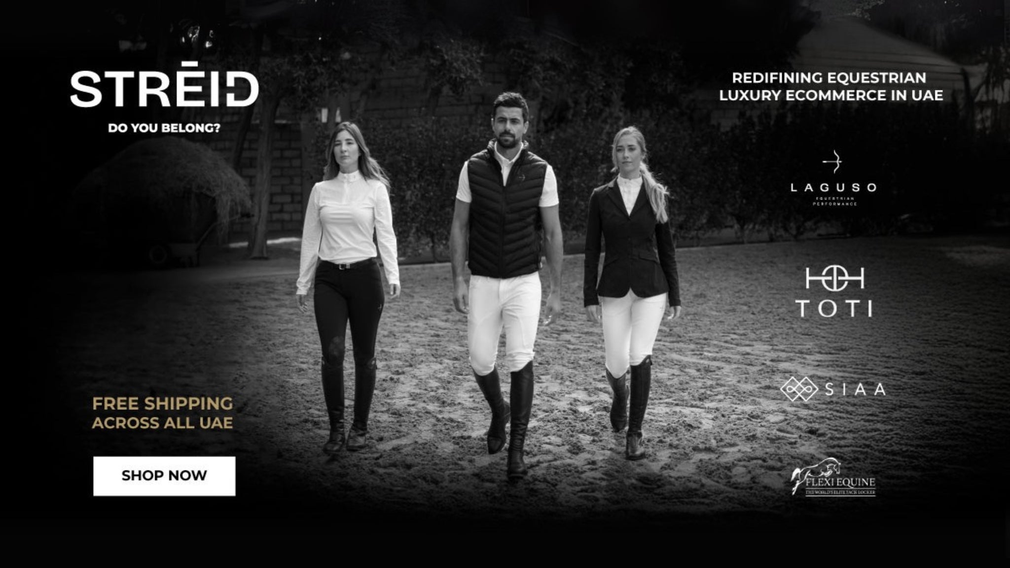 Horse Sheets Collection - Premium Horse Blankets | STRĒID